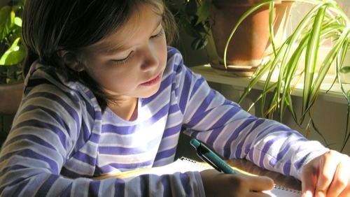 KS3 Courses | Key Stage 3 Home Schooling | Oxford Home Schooling